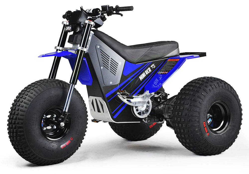 MINI RCR T3 - Blue Fenders / Blue Decals – BFE Offroad